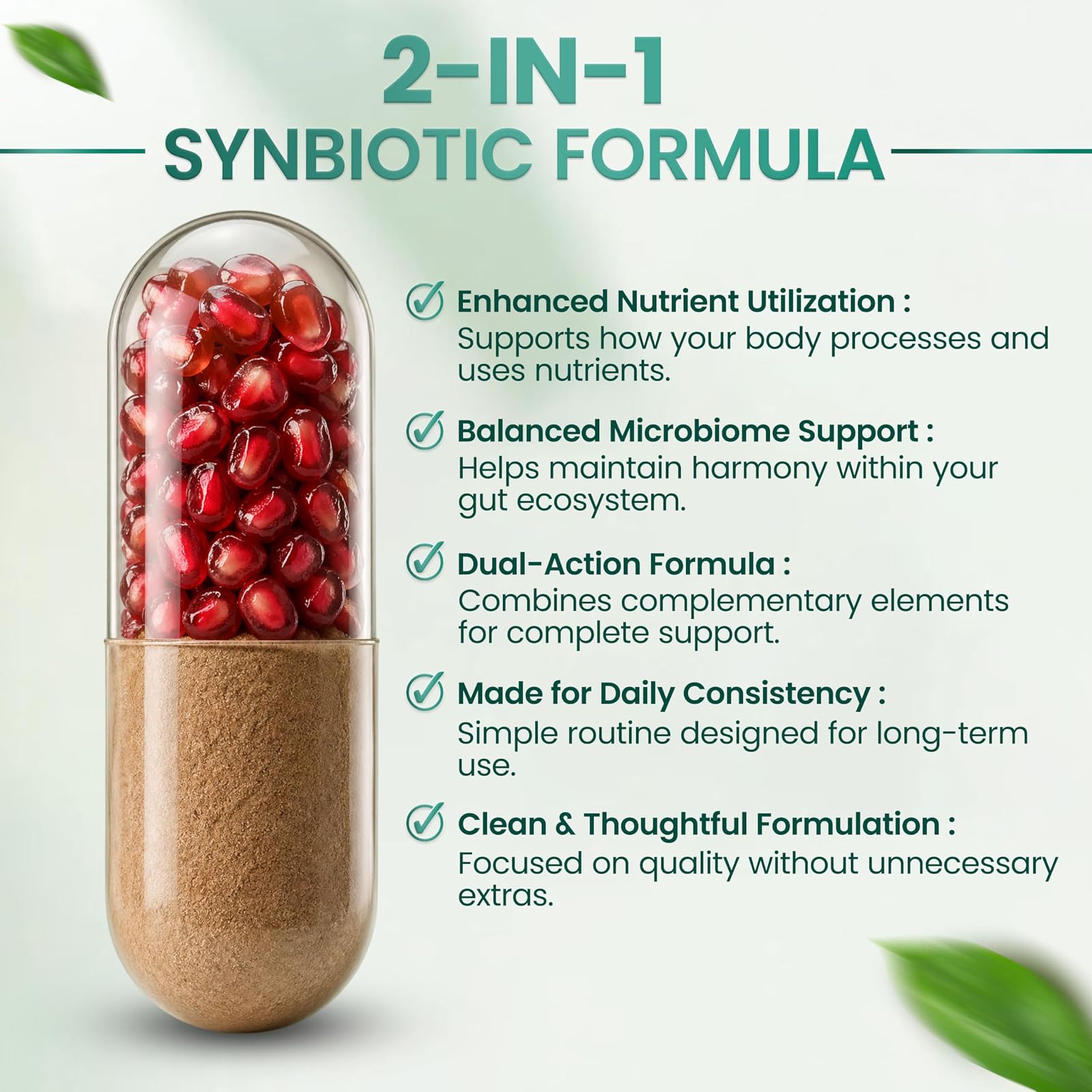 Enhanced digestion with Resilia synbiotics