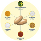 enhanced energy levels with GAT Sport