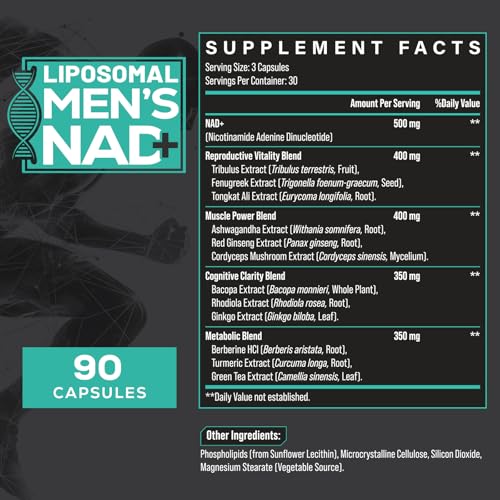 enhanced energy support with NAD+