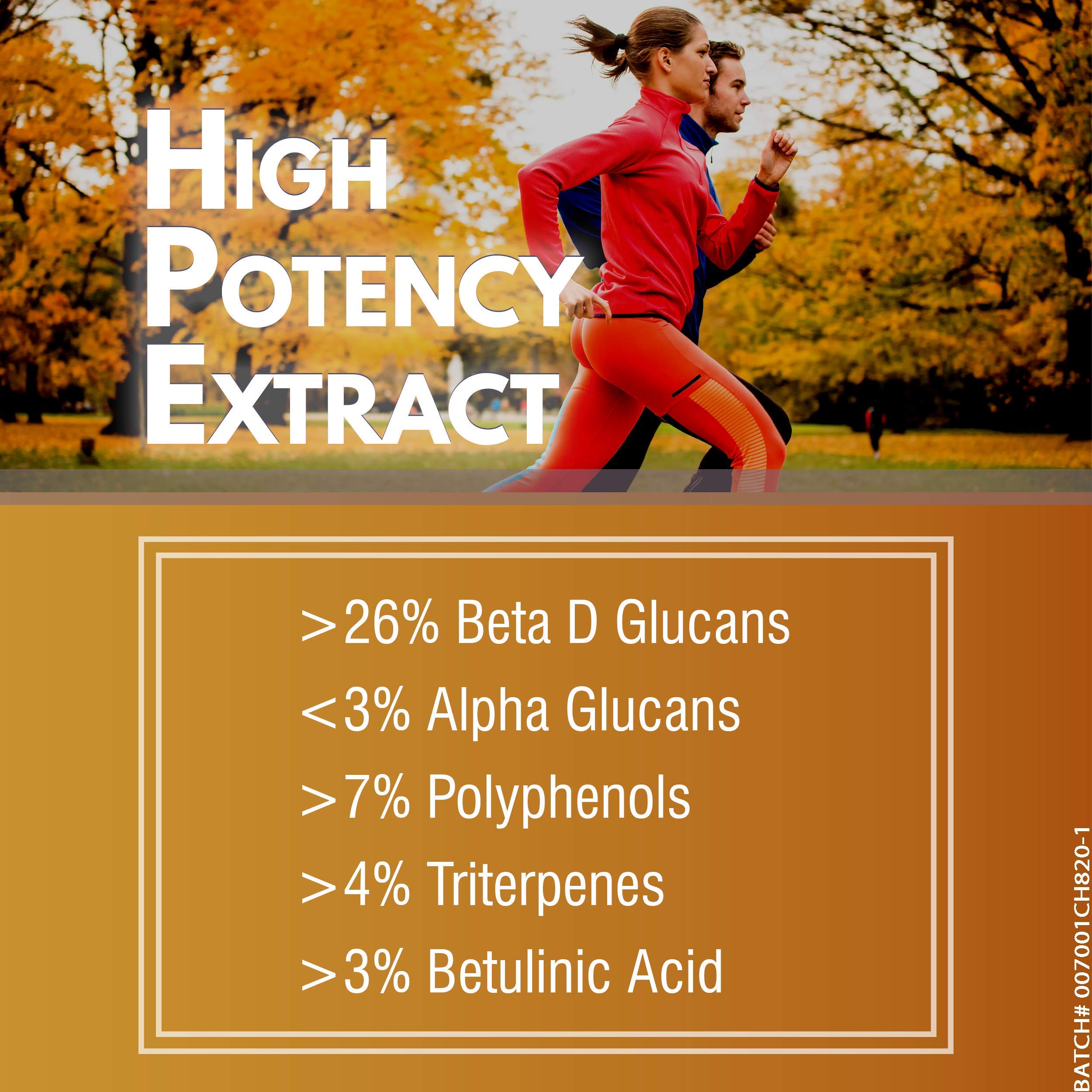 enhanced energy with chaga mushrooms