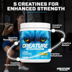 enhanced energy with creatine supplement