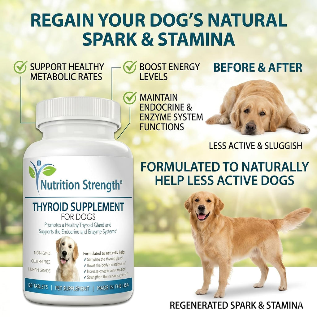 enhanced energy with organic bladderwrack