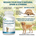 enhanced energy with organic bladderwrack