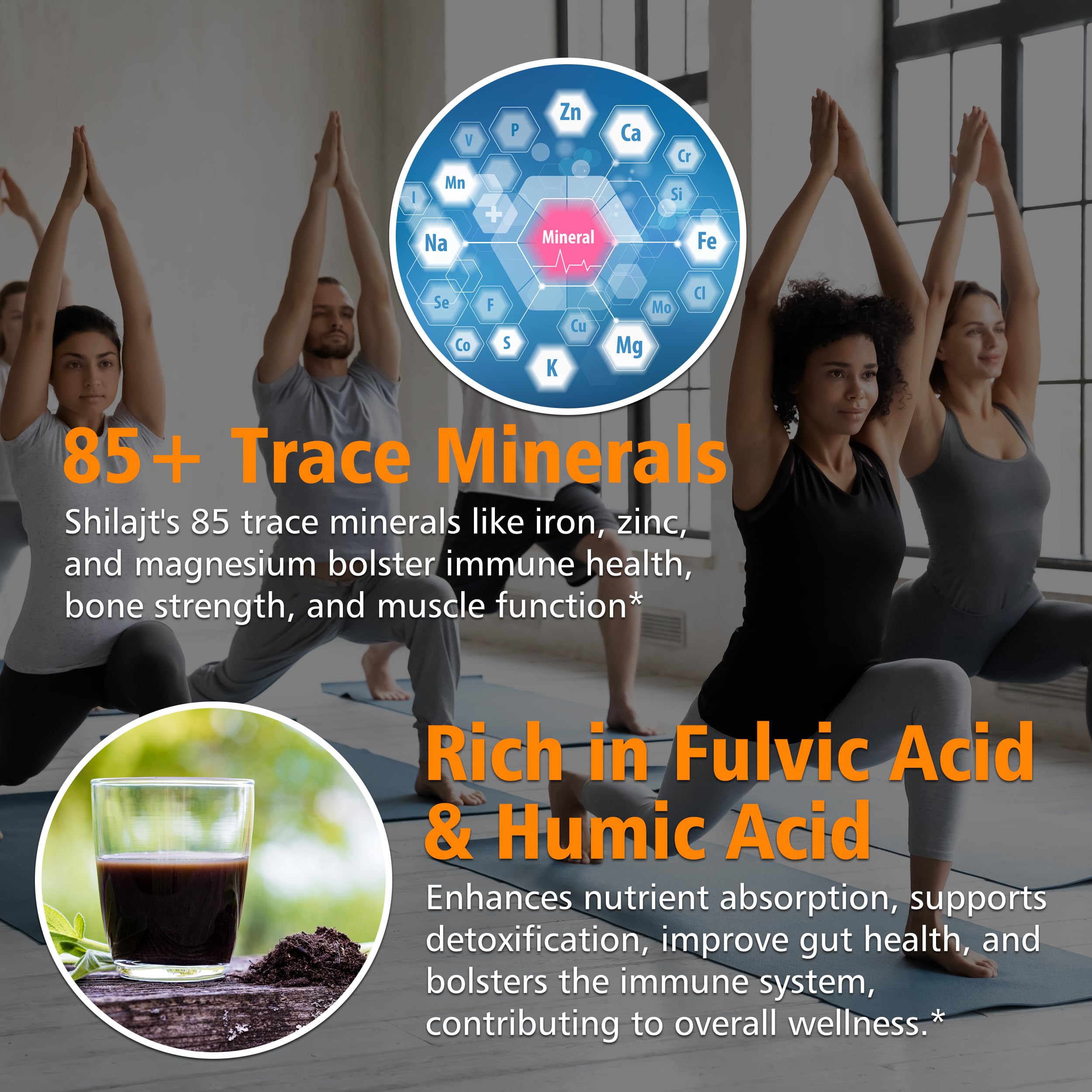 enhanced energy with shilajit capsules