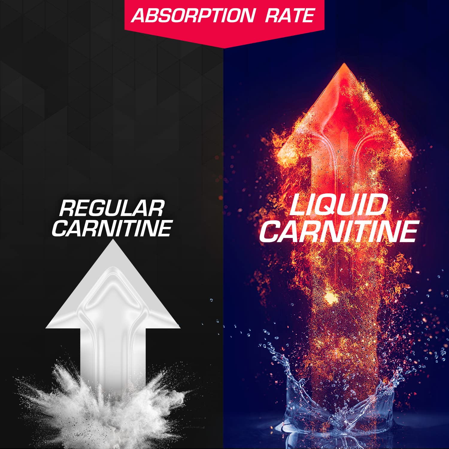enhanced fat metabolism with l-carnitine