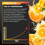 enhanced fat metabolism with l-carnitine