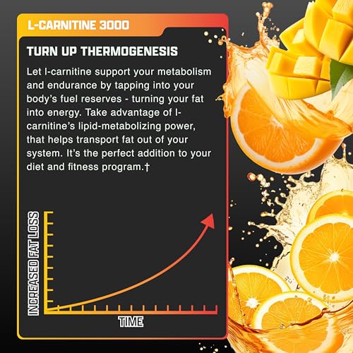 enhanced fat metabolism with l-carnitine