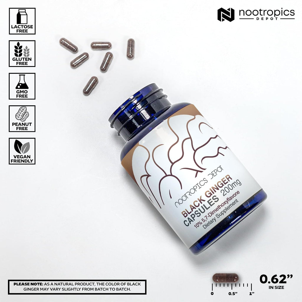 enhanced focus black ginger extract