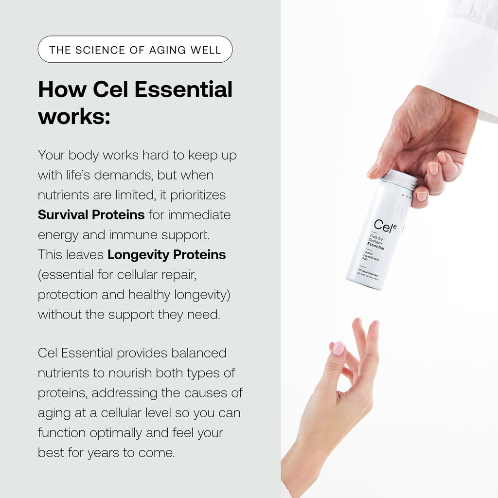 enhanced focus blended vitamin & mineral supplements