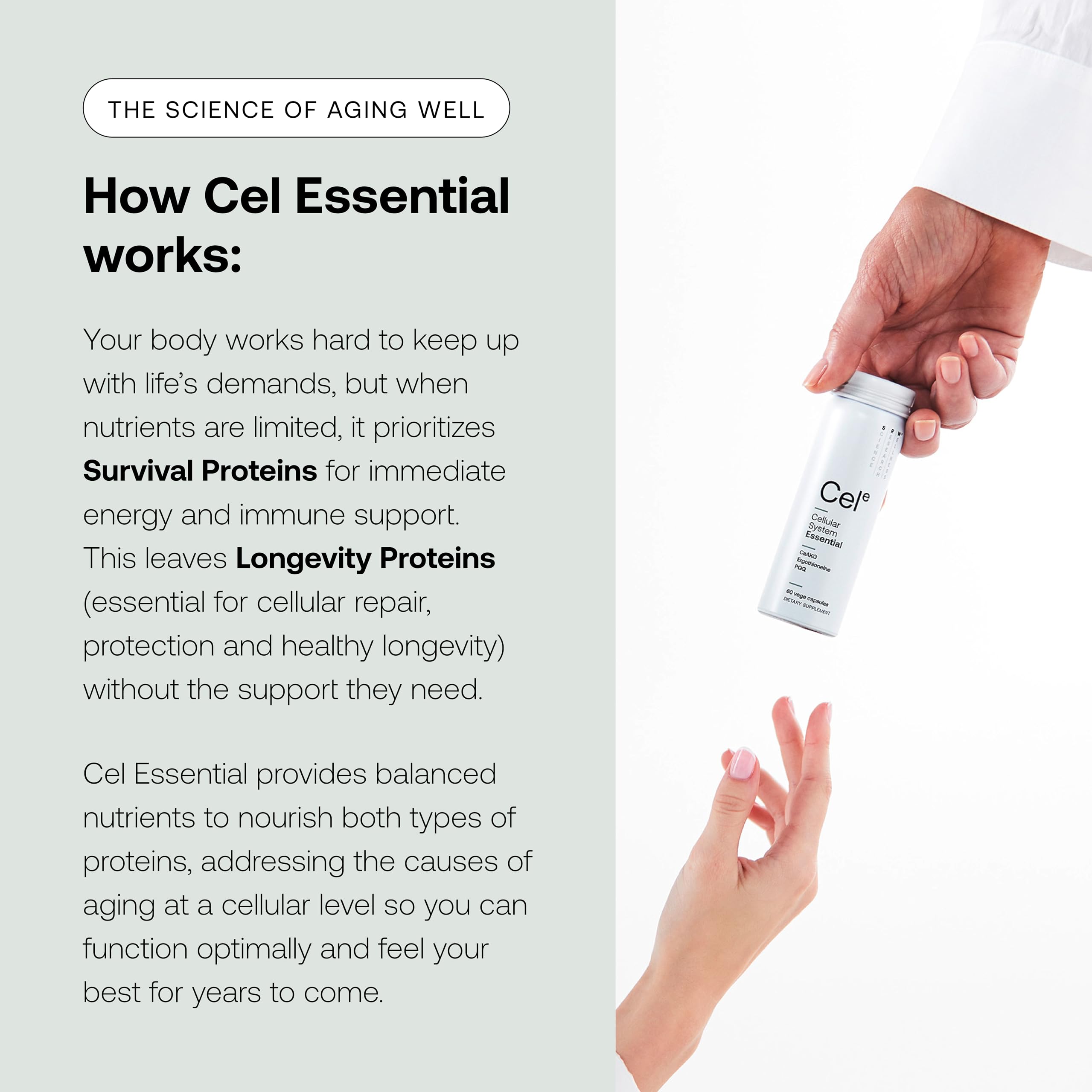 enhanced focus blended vitamin & mineral supplements