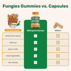 enhanced focus cordyceps extract