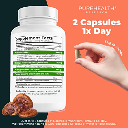 Enhanced focus from mushroom extract