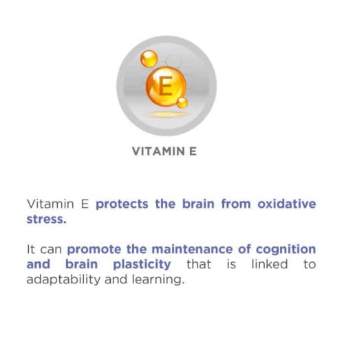 enhanced focus nootropic capsules