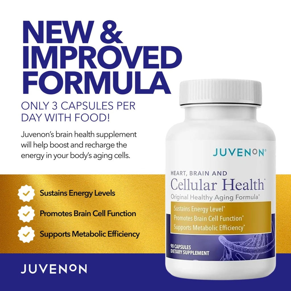 enhanced focus with acetyl l-carnitine