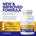 enhanced focus with acetyl l-carnitine