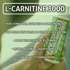 enhanced focus with acetyl l-carnitine