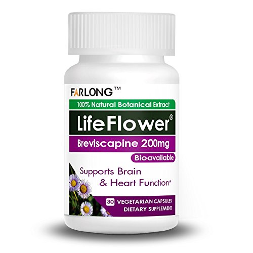 enhanced focus with blended vitamins