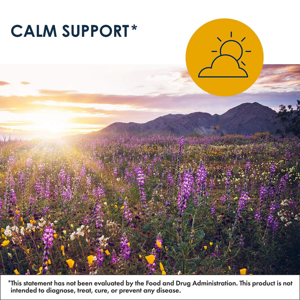 enhanced focus with GABA supplements