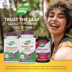 enhanced focus with ginkgo biloba