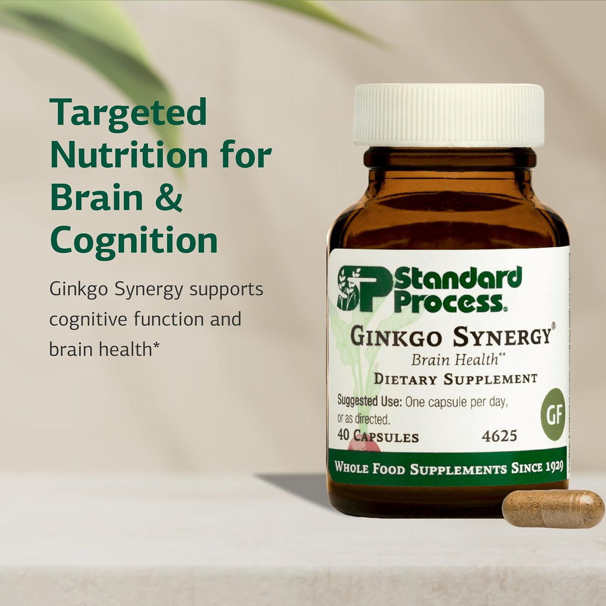 enhanced focus with ginkgo biloba