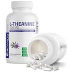 enhanced focus with l-theanine