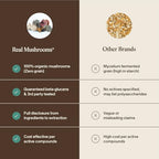 enhanced focus with lion's mane mushrooms