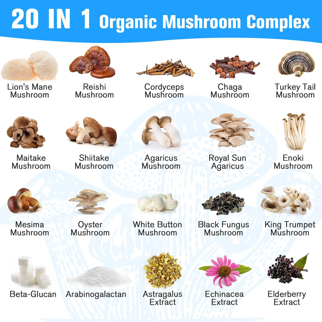 enhanced focus with mushroom blends