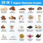enhanced focus with mushroom blends