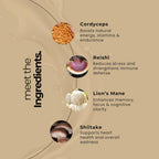 enhanced focus with mushroom complex