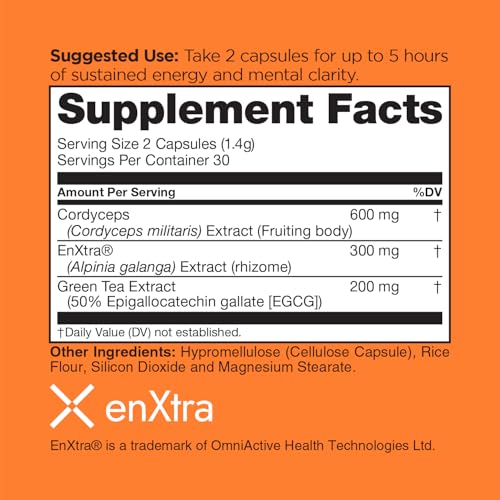enhanced focus with mushroom extract