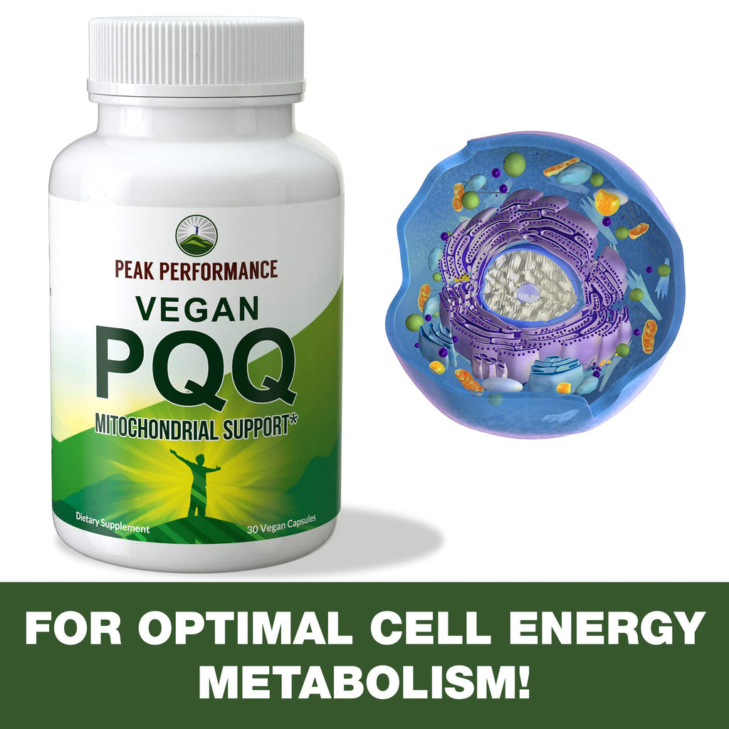 enhanced focus with PQQ vitamins