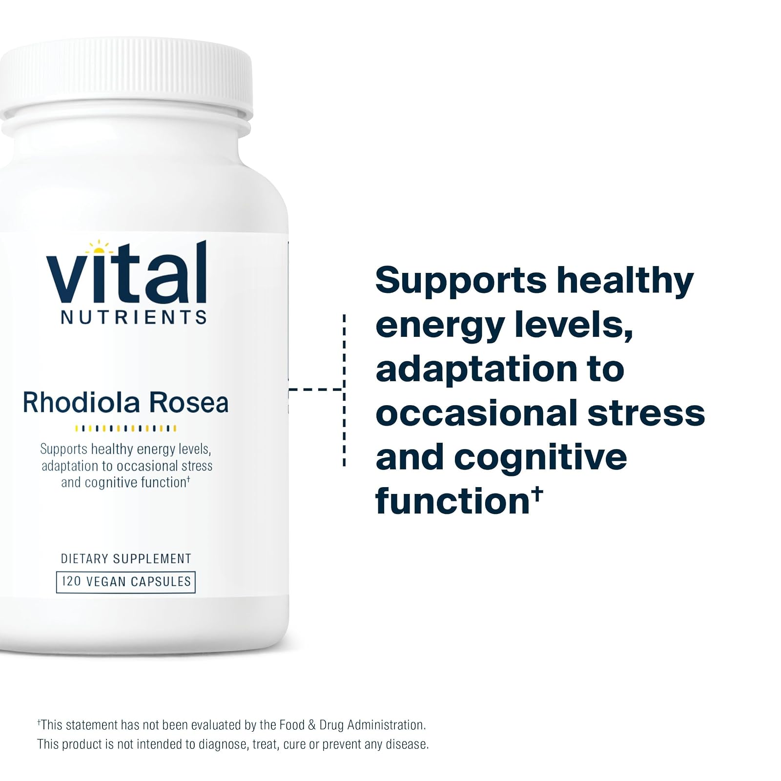 enhanced focus with rhodiola supplements