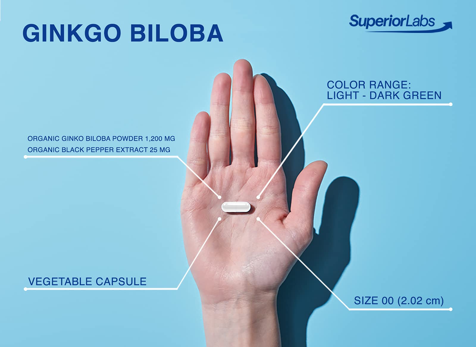 enhanced ginkgo biloba for mental clarity