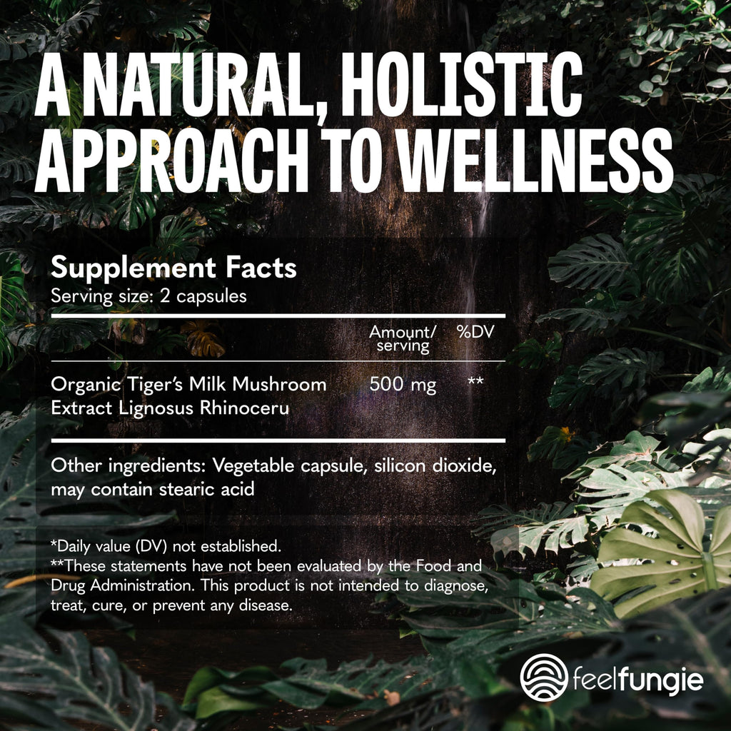 enhanced gut health with mushrooms