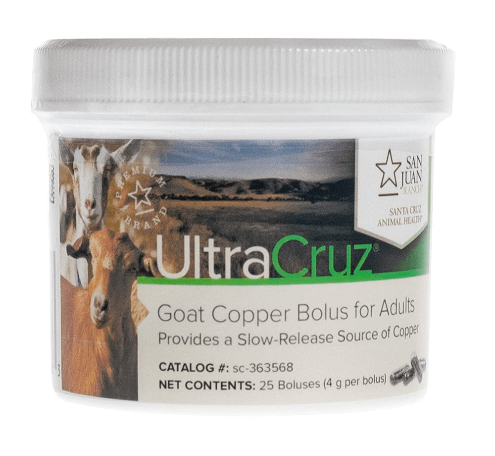 enhanced health with copper bolus