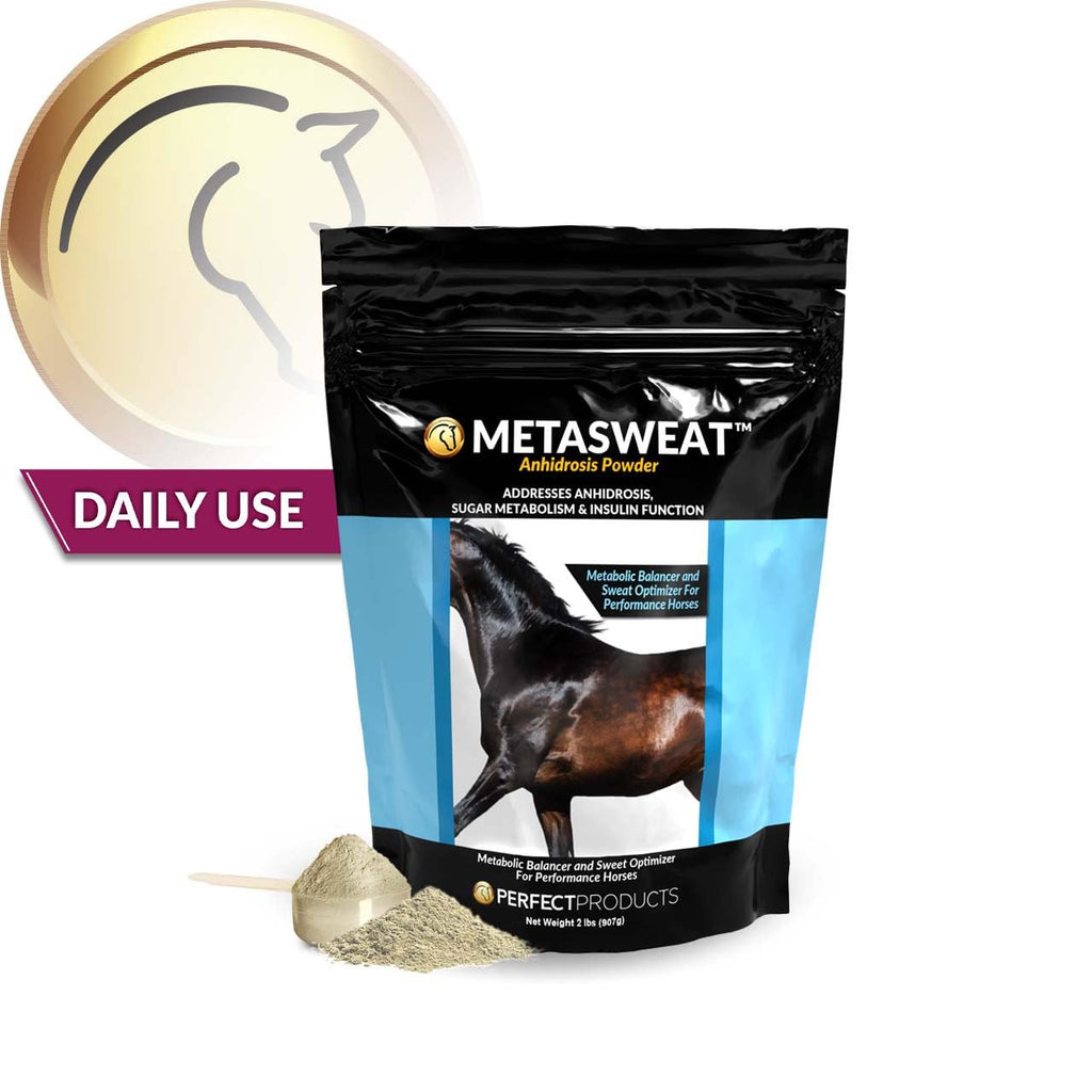 enhanced hydration with MetaSweat™ powder