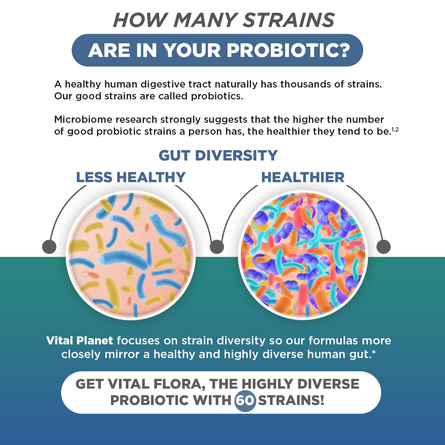 enhanced immunity with probiotics