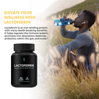 enhanced iron absorption with Lactoferrin