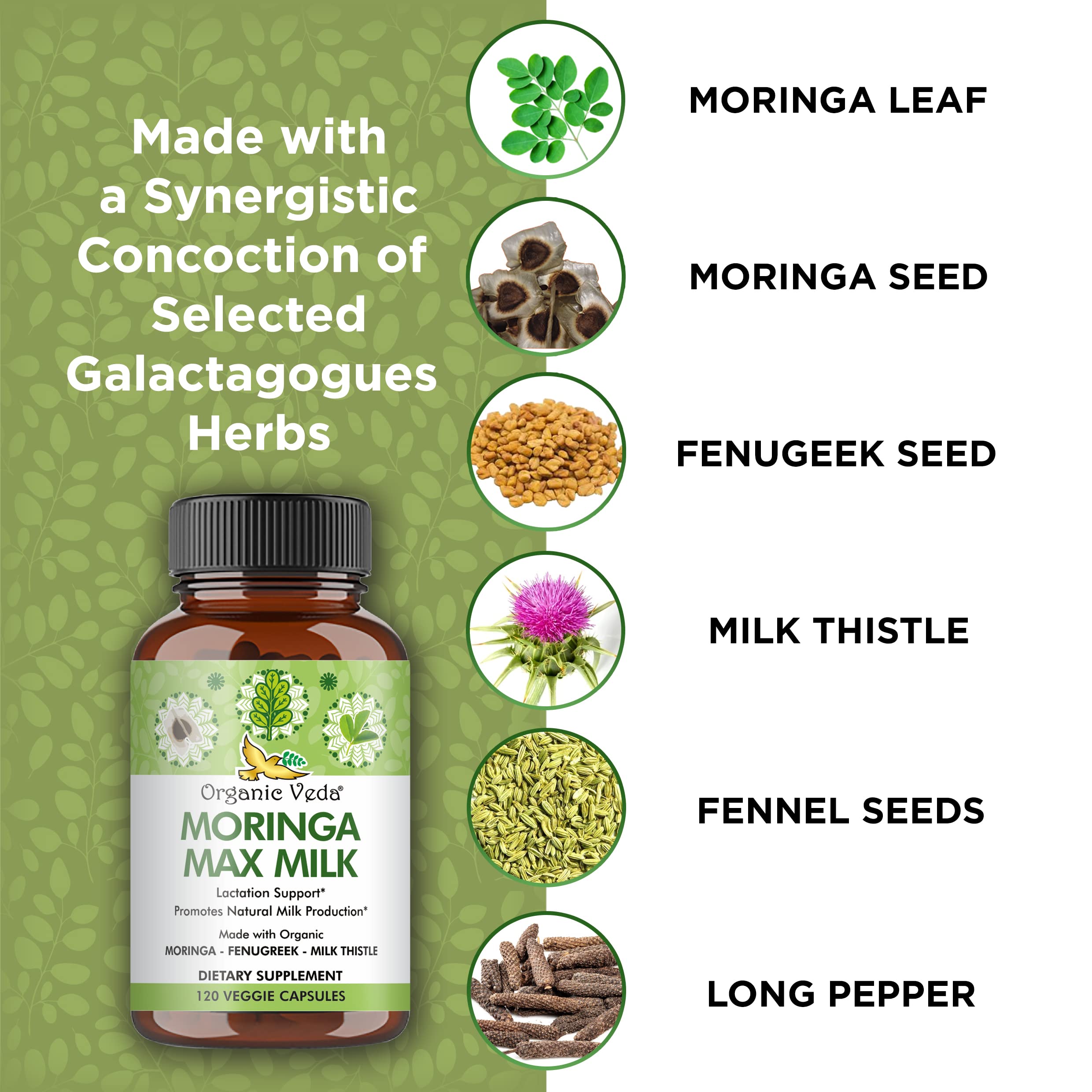 Enhanced lactation with Moringa Max formula