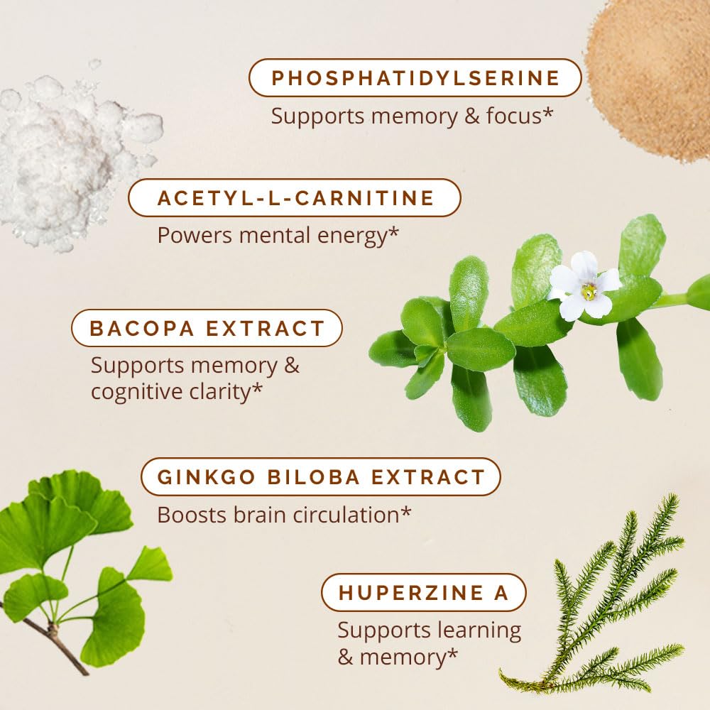 enhanced memory support with ginkgo biloba