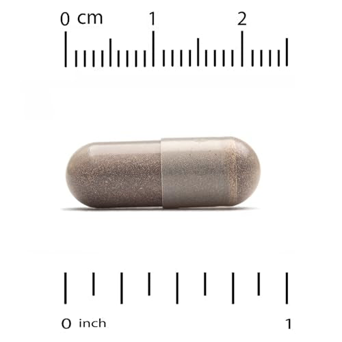 enhanced memory with bacopa monnieri
