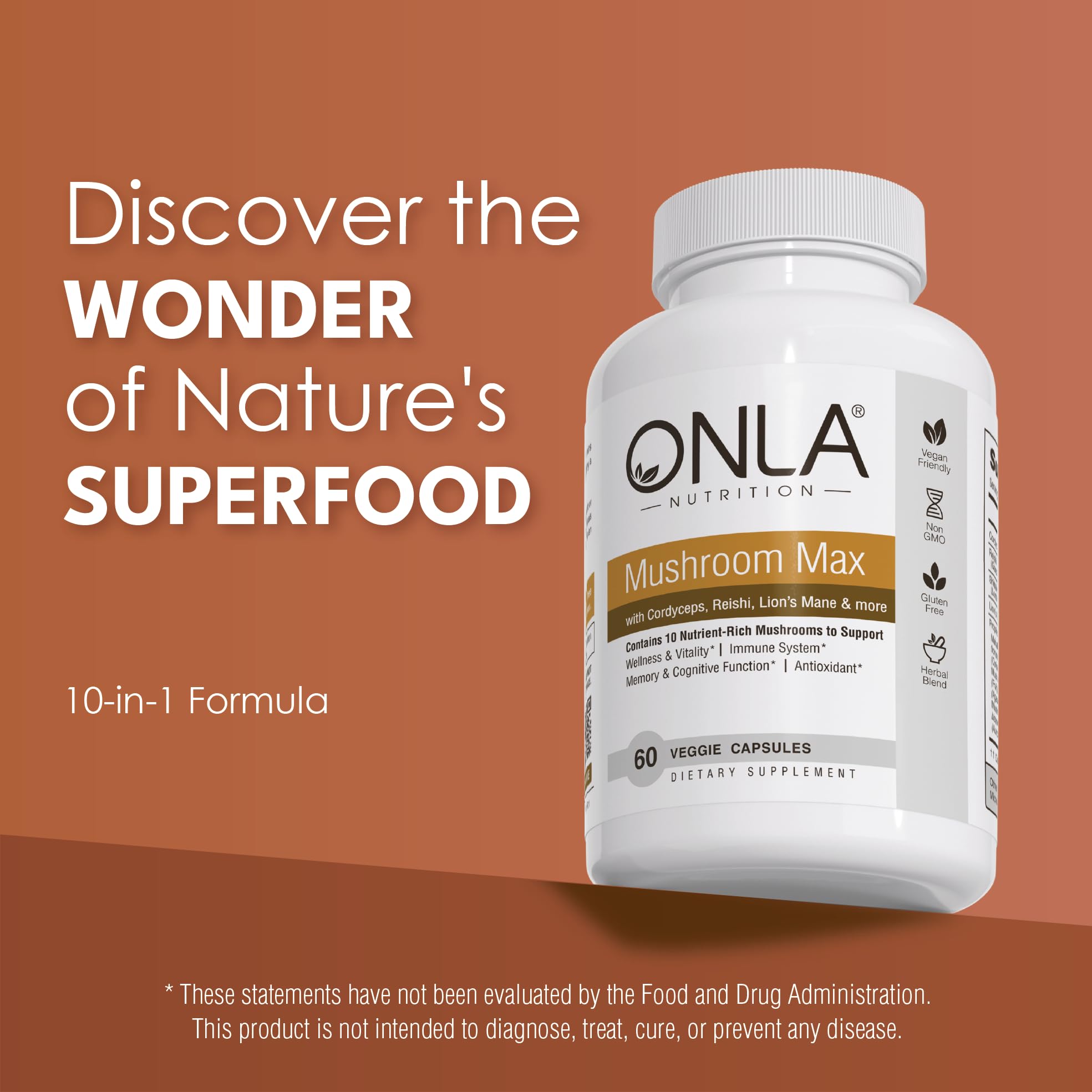 enhanced memory with mushroom supplements