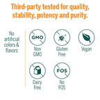 enhanced mental clarity probiotics