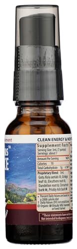 enhanced mental clarity with herbal supplements