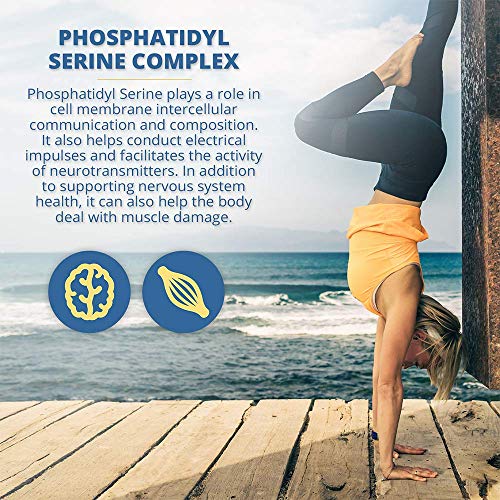 enhanced mental clarity with Phosphatidyl Serine