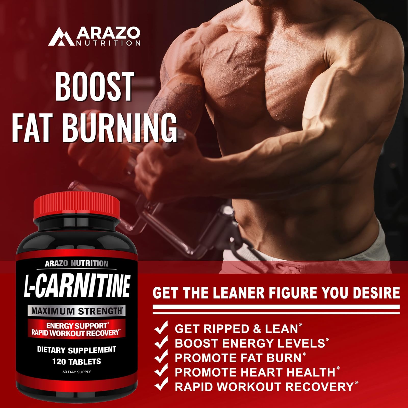 enhanced metabolism with l-carnitine
