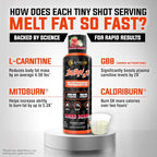 enhanced metabolism with l-carnitine