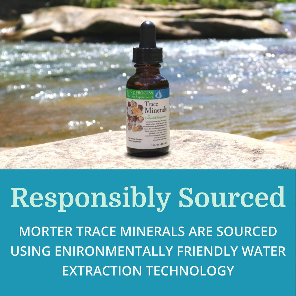 enhanced mineral absorption formula