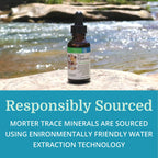 enhanced mineral absorption formula