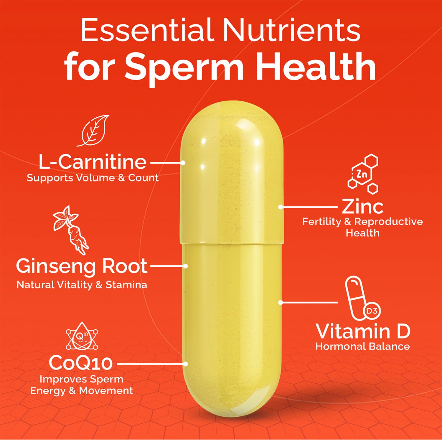 enhanced motility multivitamin for men